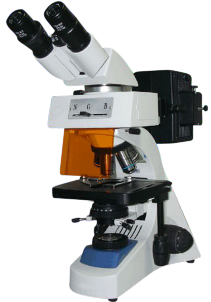 Buy Weswox Clinical Fluorescence Microscope FM-1000 Online in India at ...