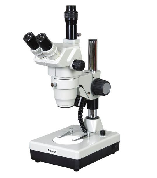 Buy Magnus MSZ-TR Trinocular Stereozoom Microscope, illumination ...