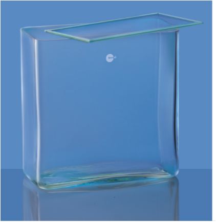 Buy Borosil 6910M43 Rectangular Glass Jar ( Dimension: 220 x 195 x 80 ...