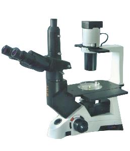 Buy Magnus INVI Tissue Culture Trinocular Microscope with 6V30W Halogen ...